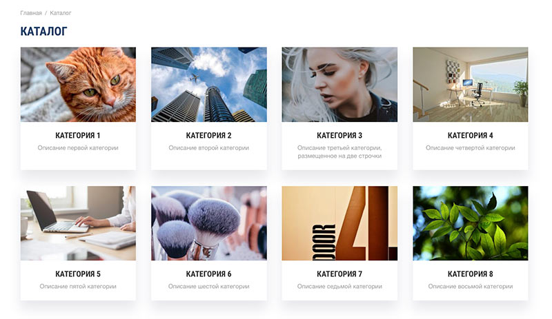 Полезные советы для работы с темой WP Commander | GoodwinPress